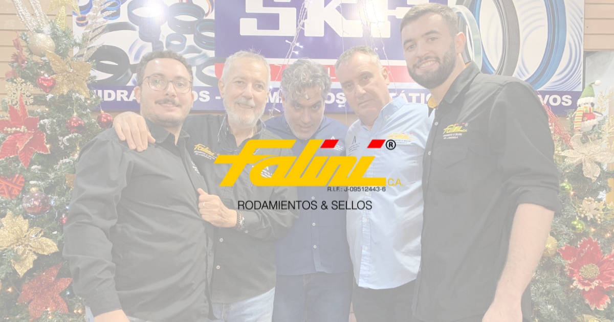 ¿Quién es Falini C.A.? - Rodamientos Falini